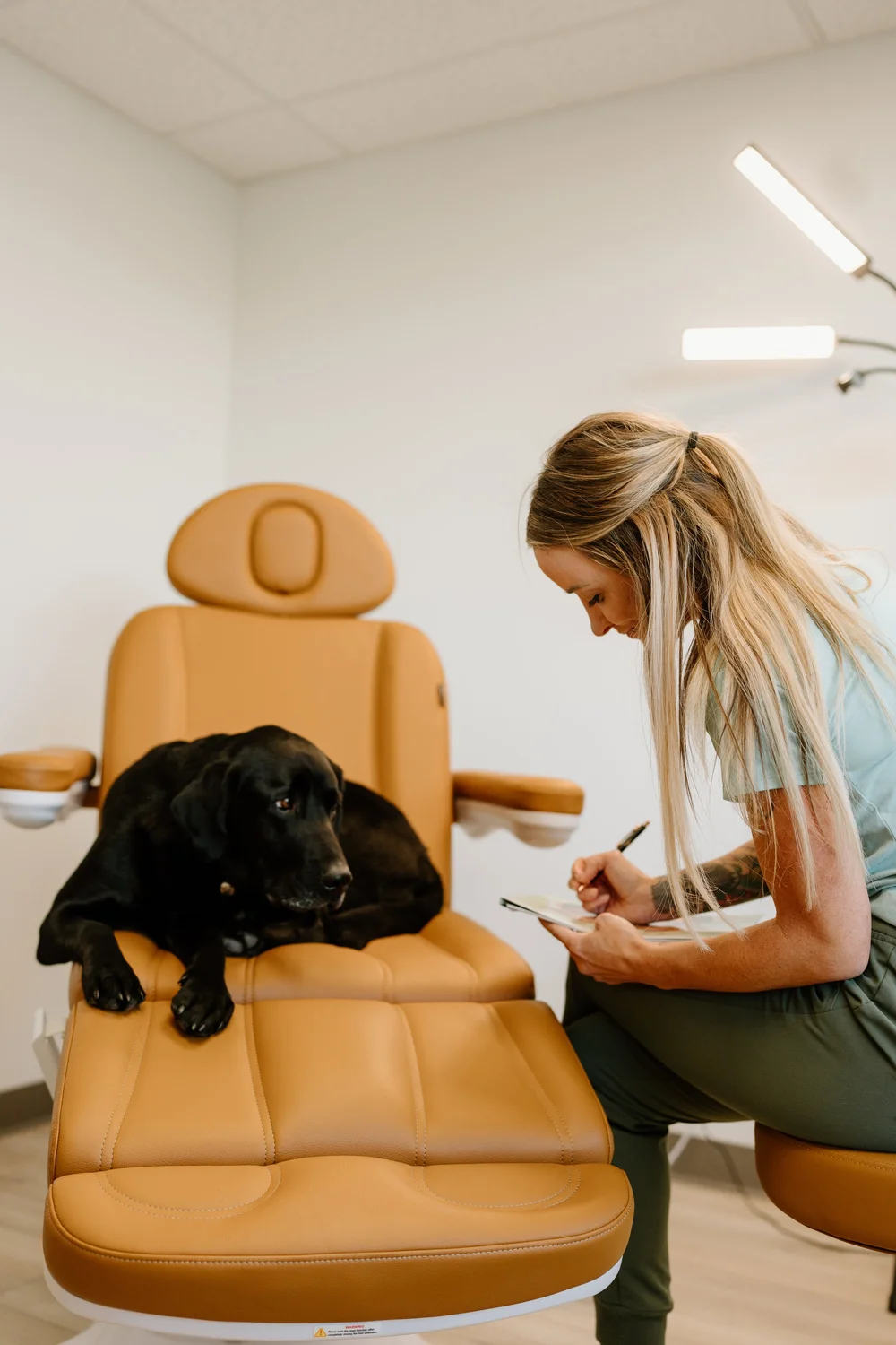 Services | Enhance Your Natural Beauty — Book Now — Alpine Aesthetics