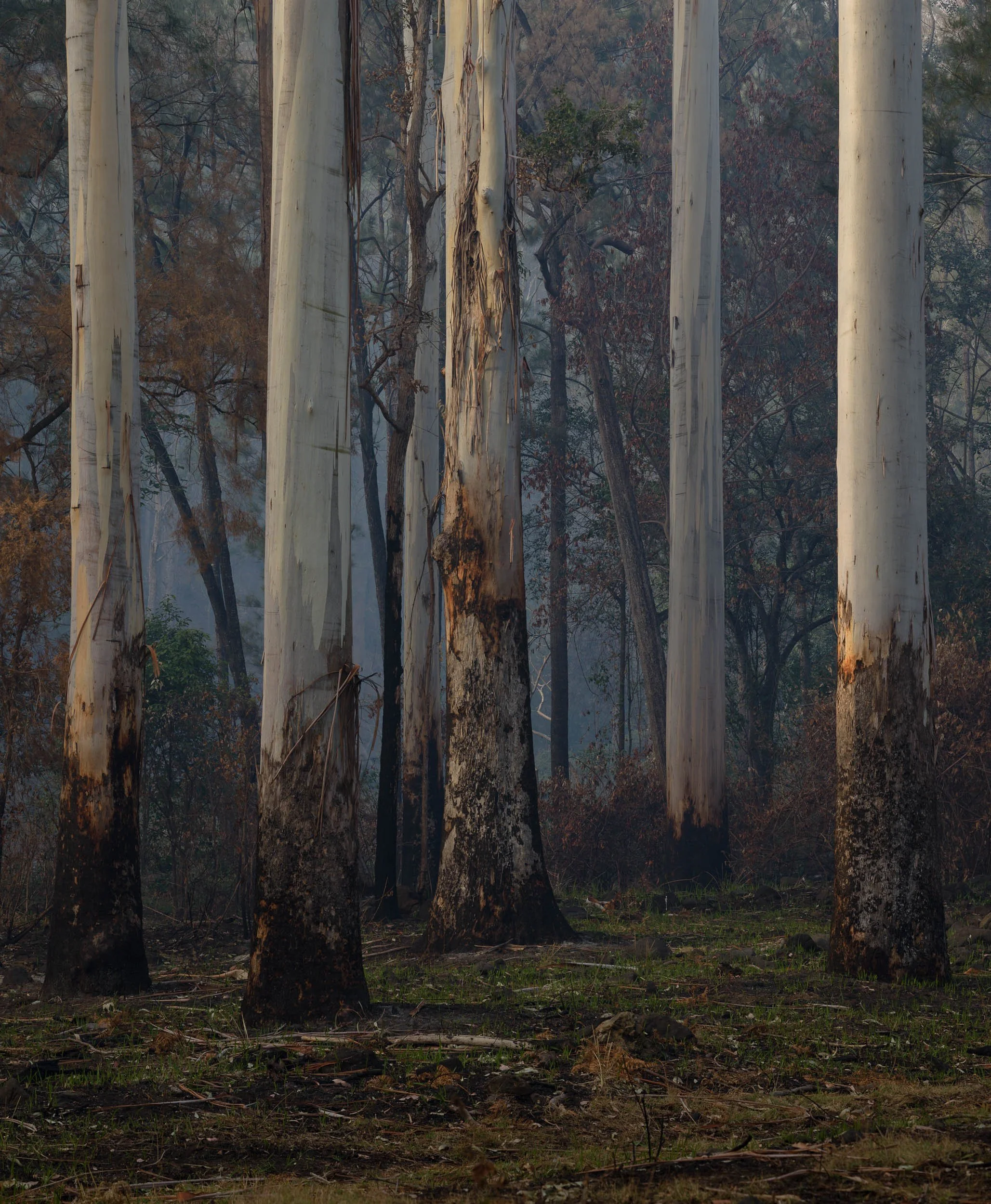 Of Land & Sea — Australian AIPP Photographer - Gregory Hanlon Photography
