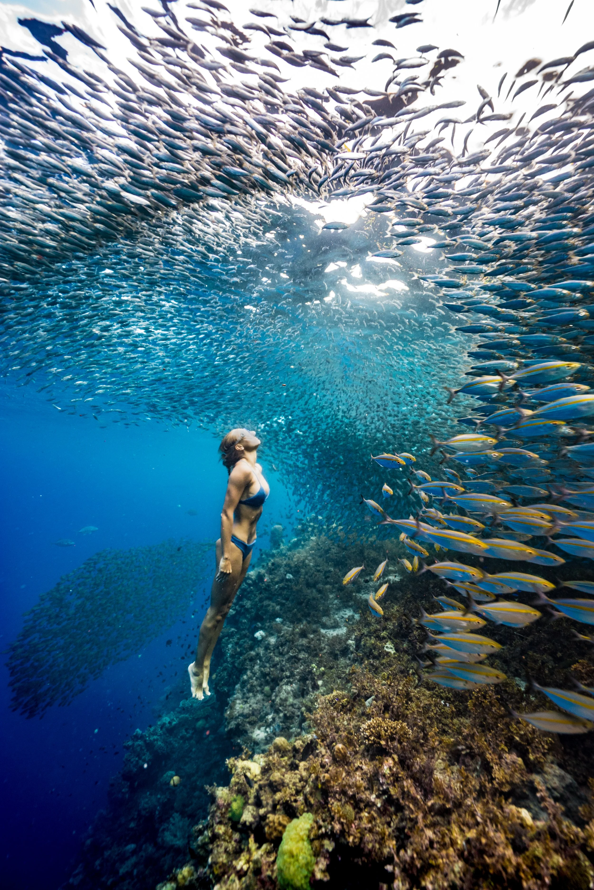 Freediving Family