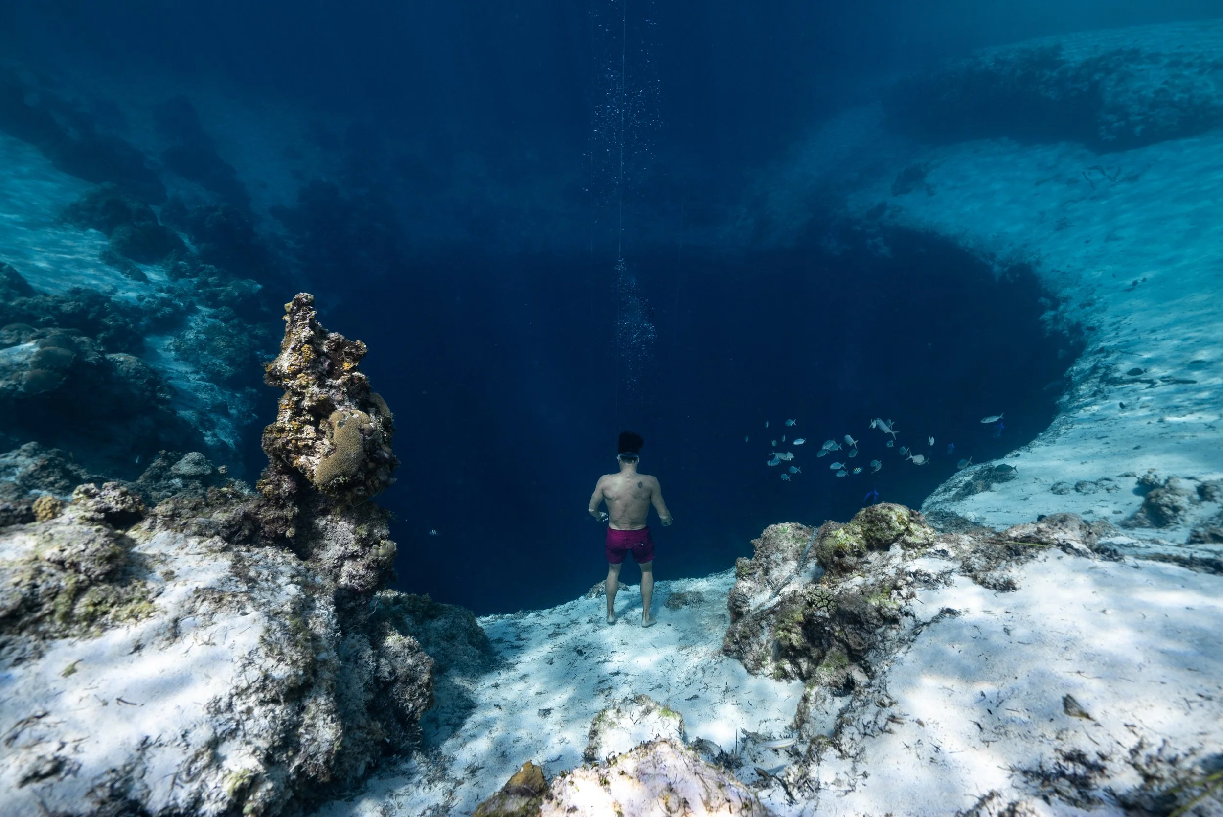Deep Week - The biggest freediving festival — Freediving Family