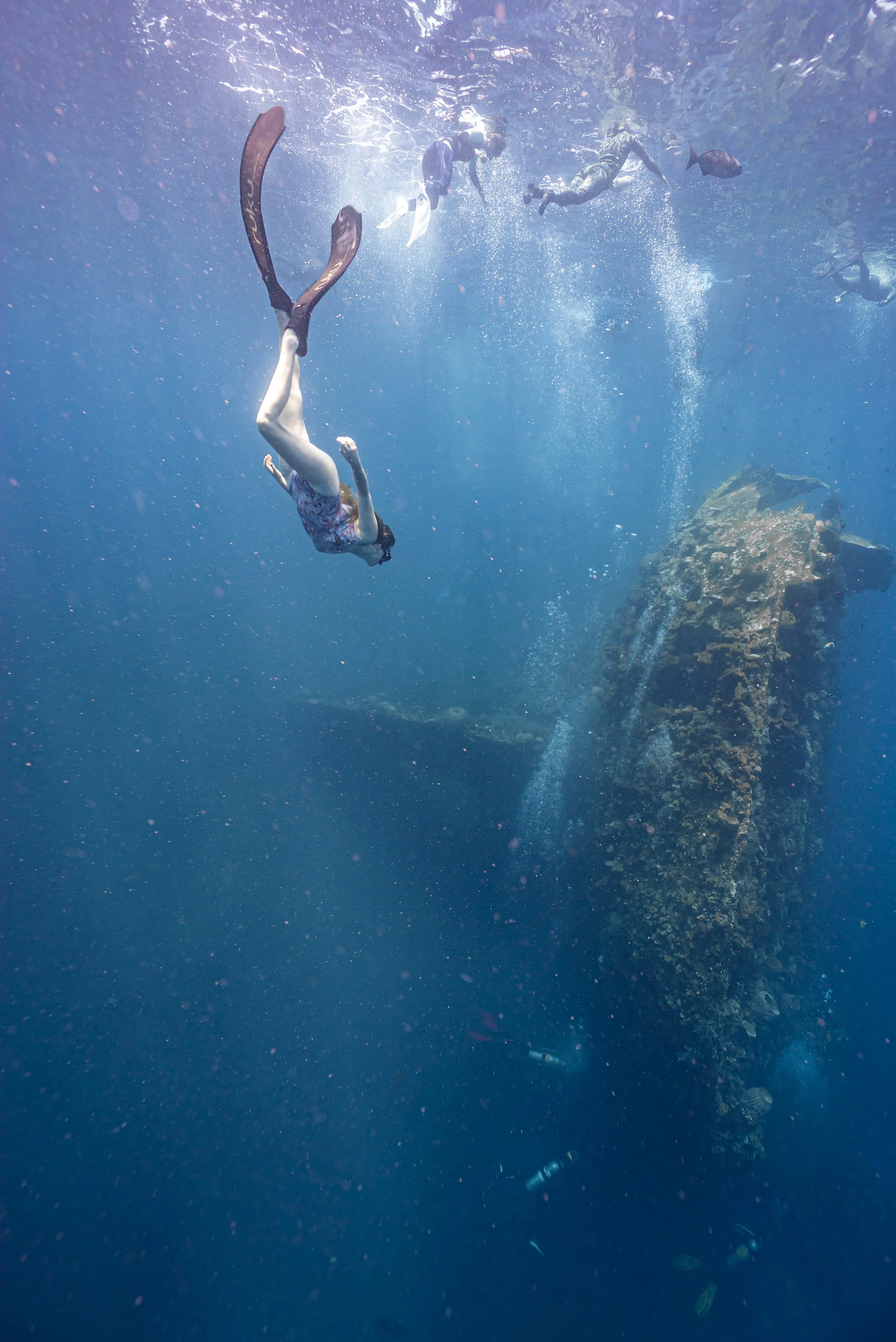 Freediving in Gold Coast — Freediving Family