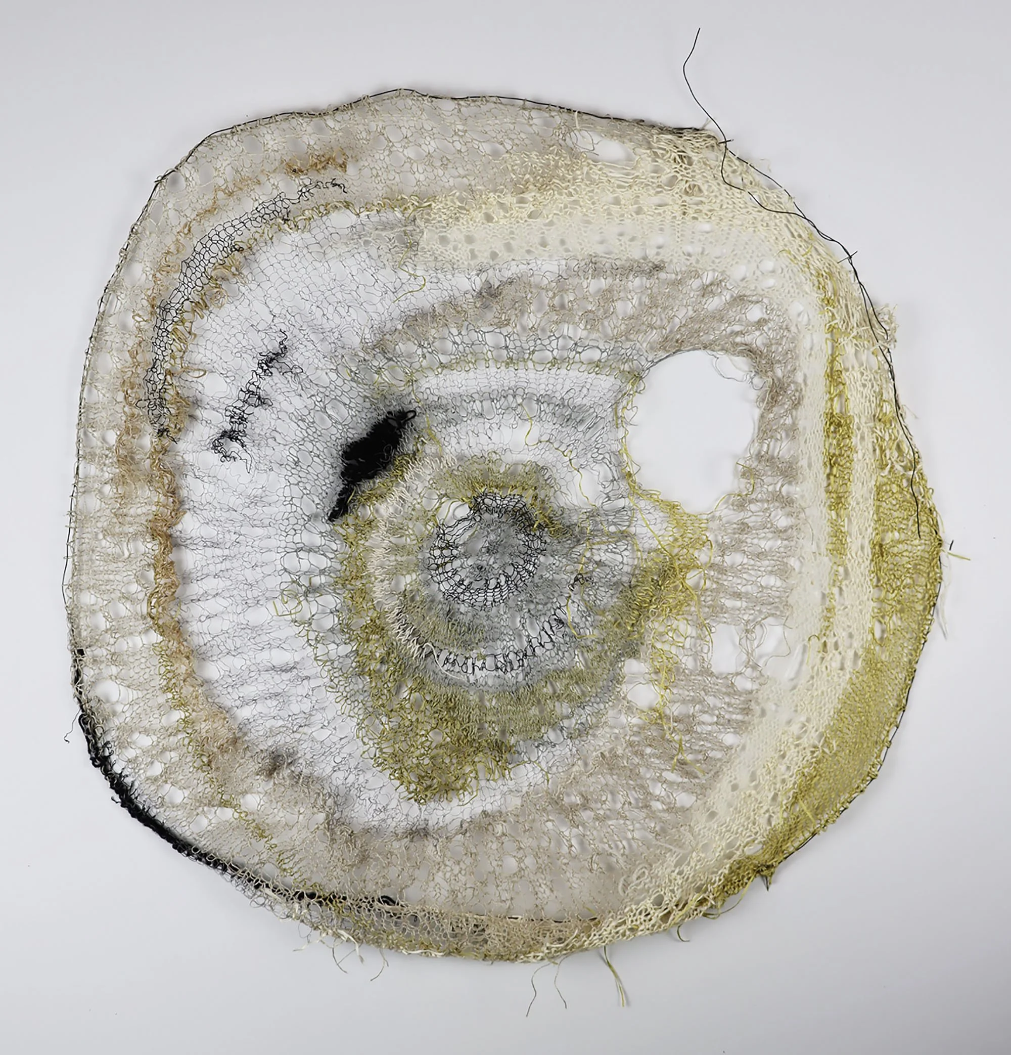 About — Art Lives Here