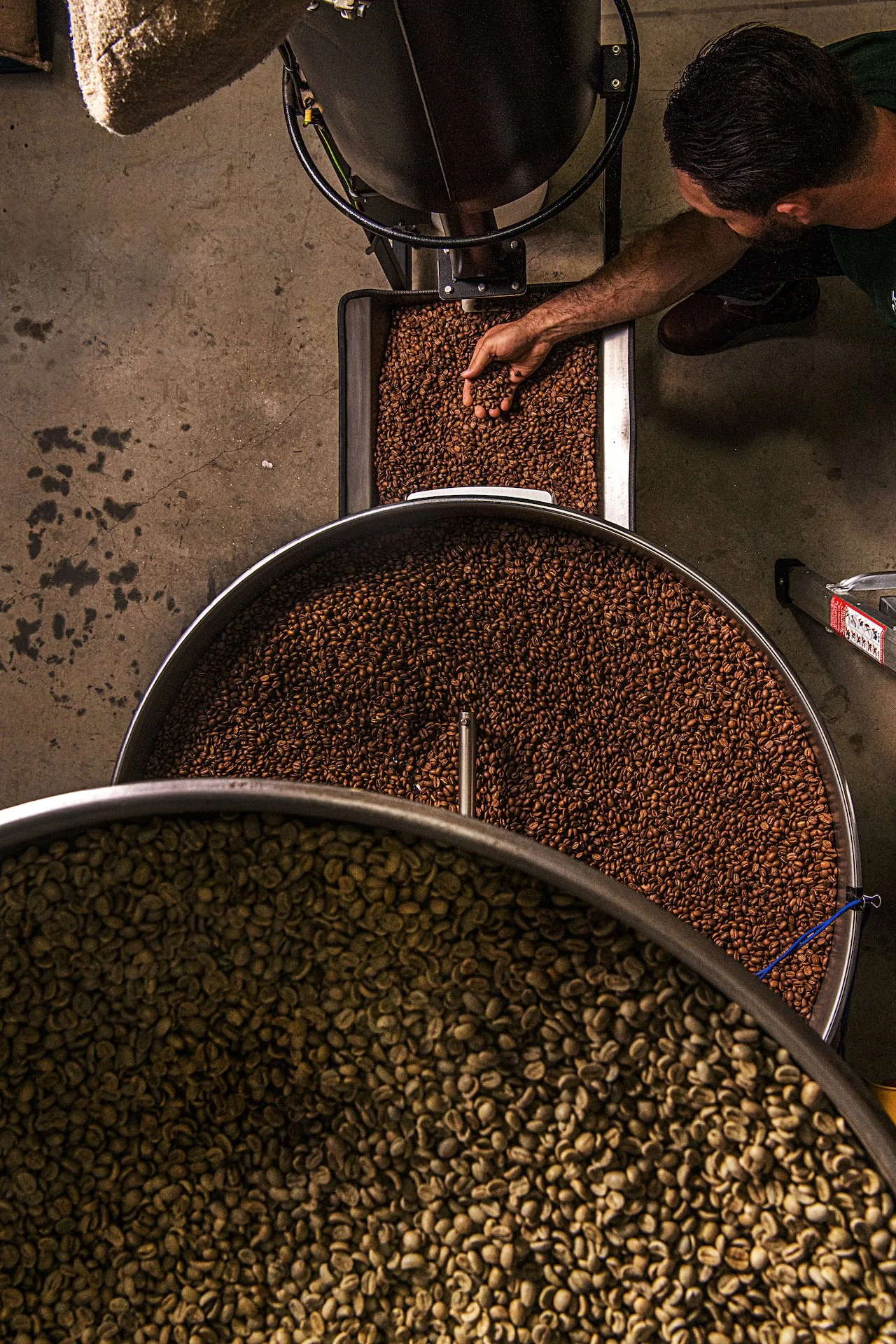 Kindred Coffee — Williams and Company