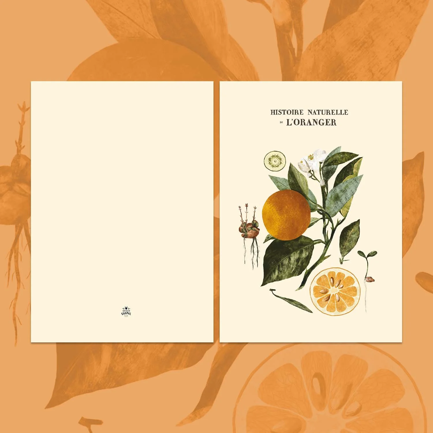 Boutique (Affiches, cartes postales, marque-pages) • Vintage ...