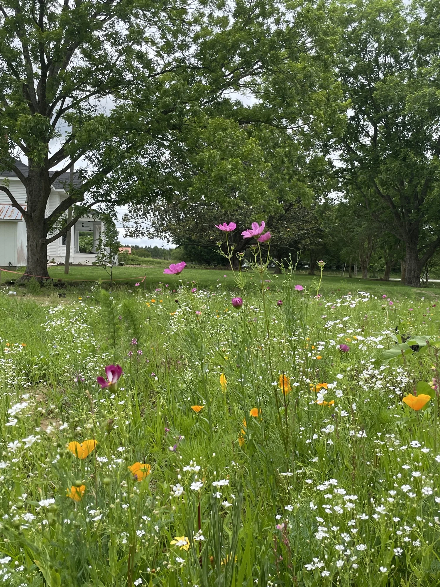 The House on Barber Mill: Raleigh North Carolina Wedding Venues