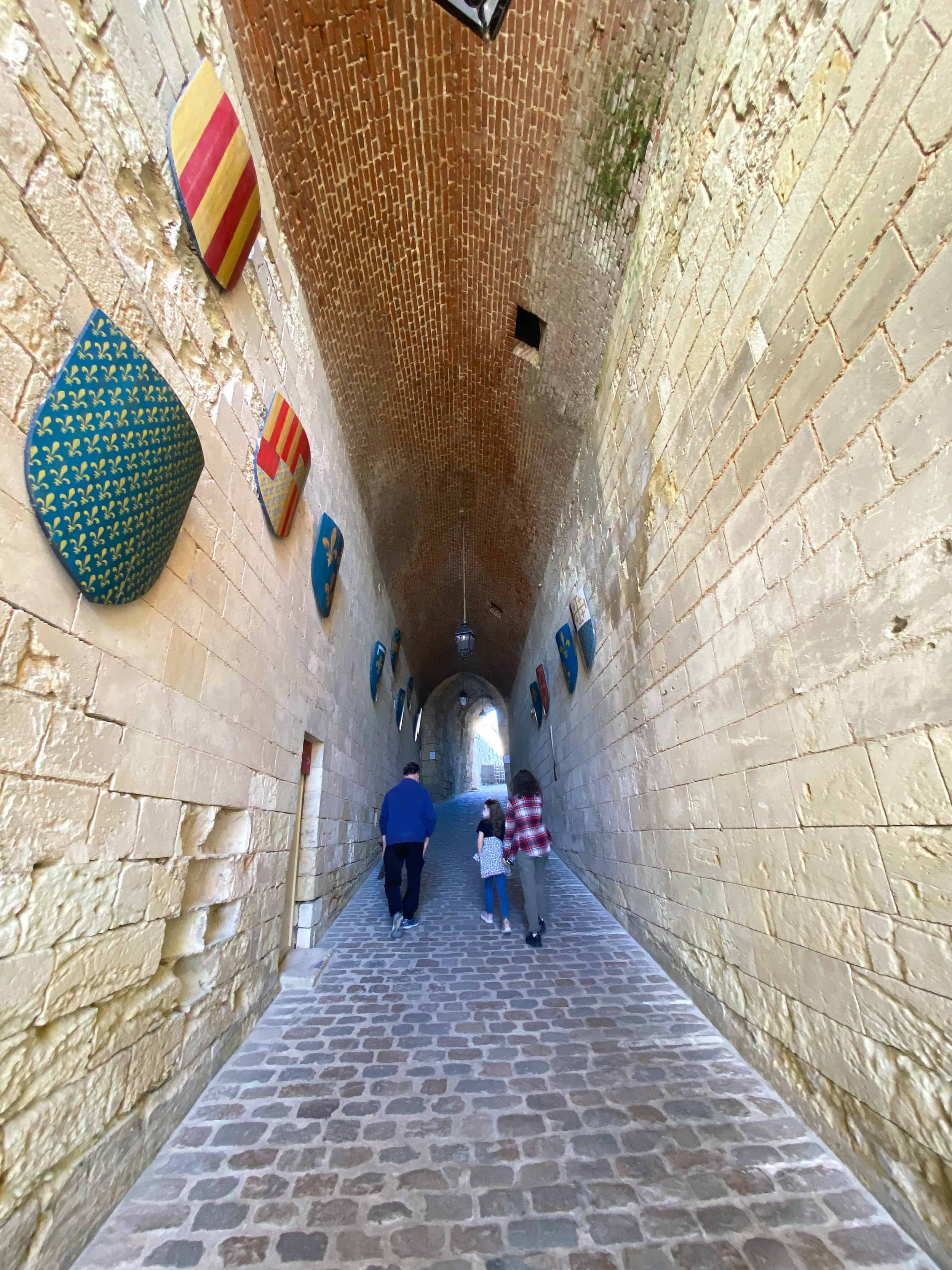 Château Royal d’Amboise, France