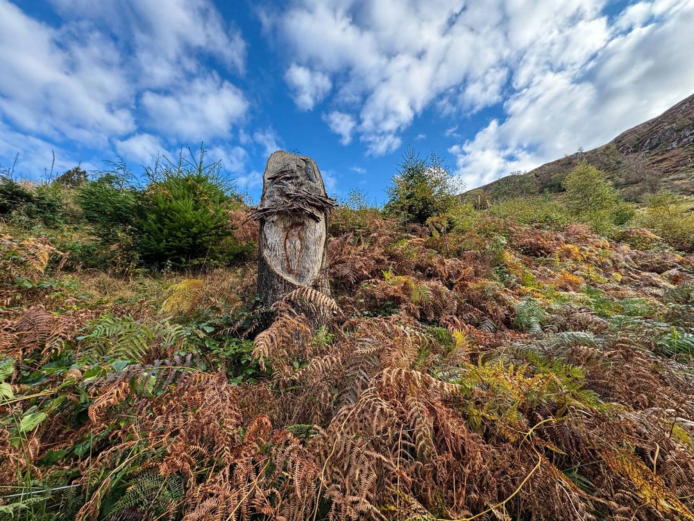 Family-Friendly Adventures in the Elan Valley