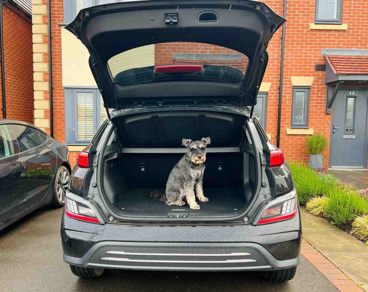 The best electric cars for dog owners — The Electric Car Scheme