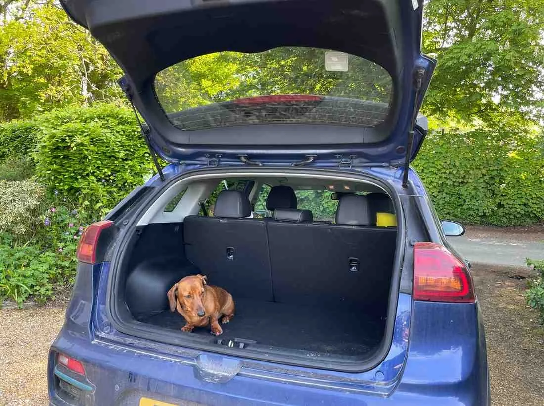 The best electric cars for dog owners | The Electric Car Scheme