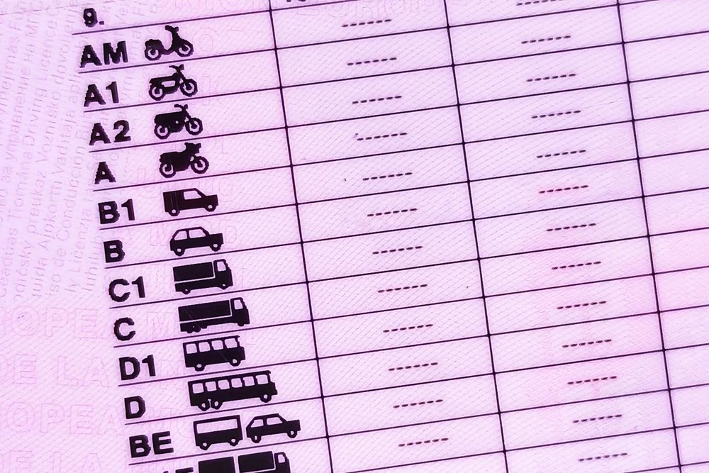 Digital Driving Licence UK 2026: Your Complete Guide | The Electric Car ...