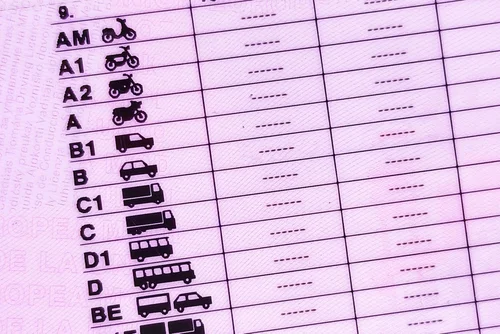 Digital Driving Licence UK 2026: Your Complete Guide | The Electric Car ...