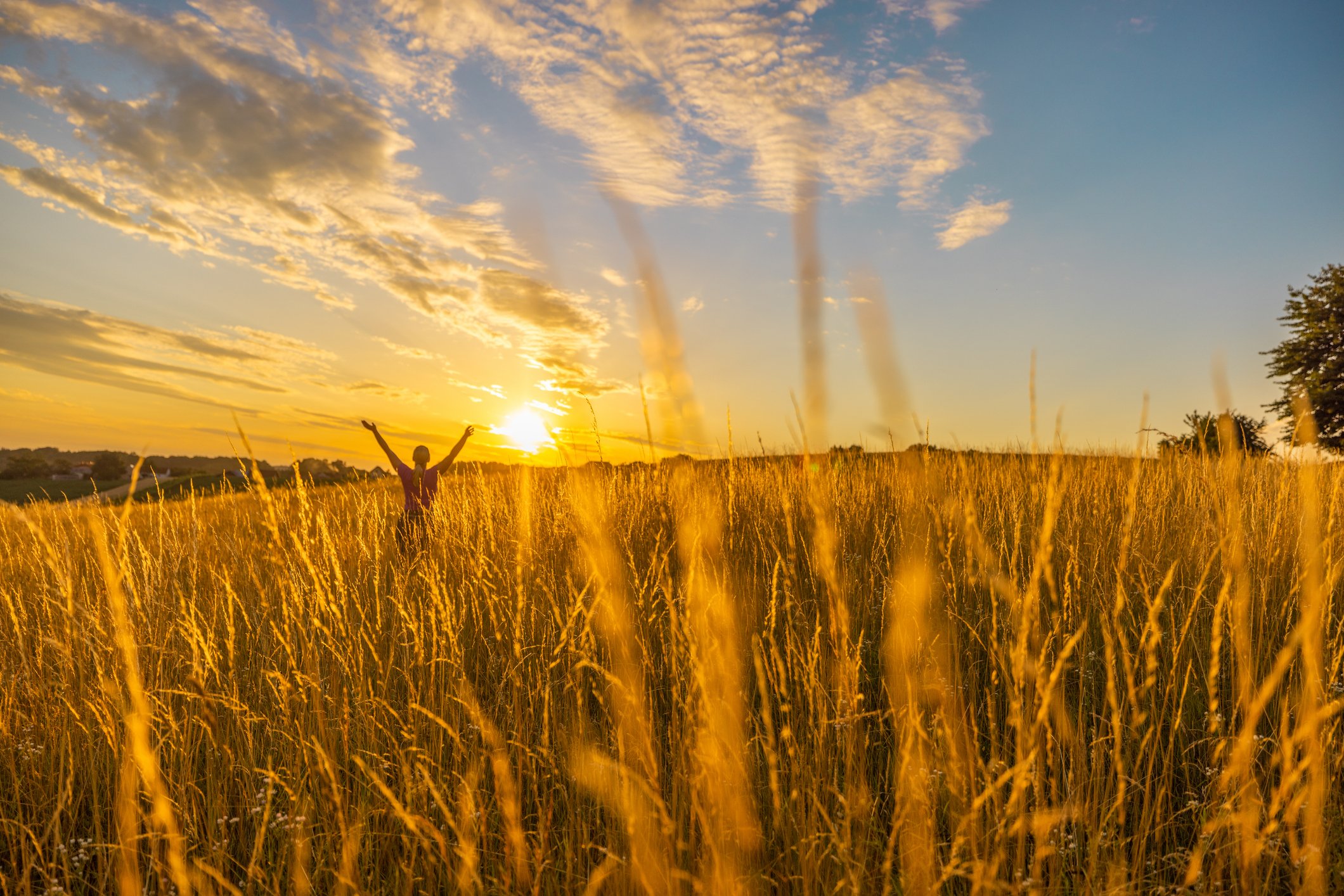 Prosperity Planning | Financial Advisor Kansas City