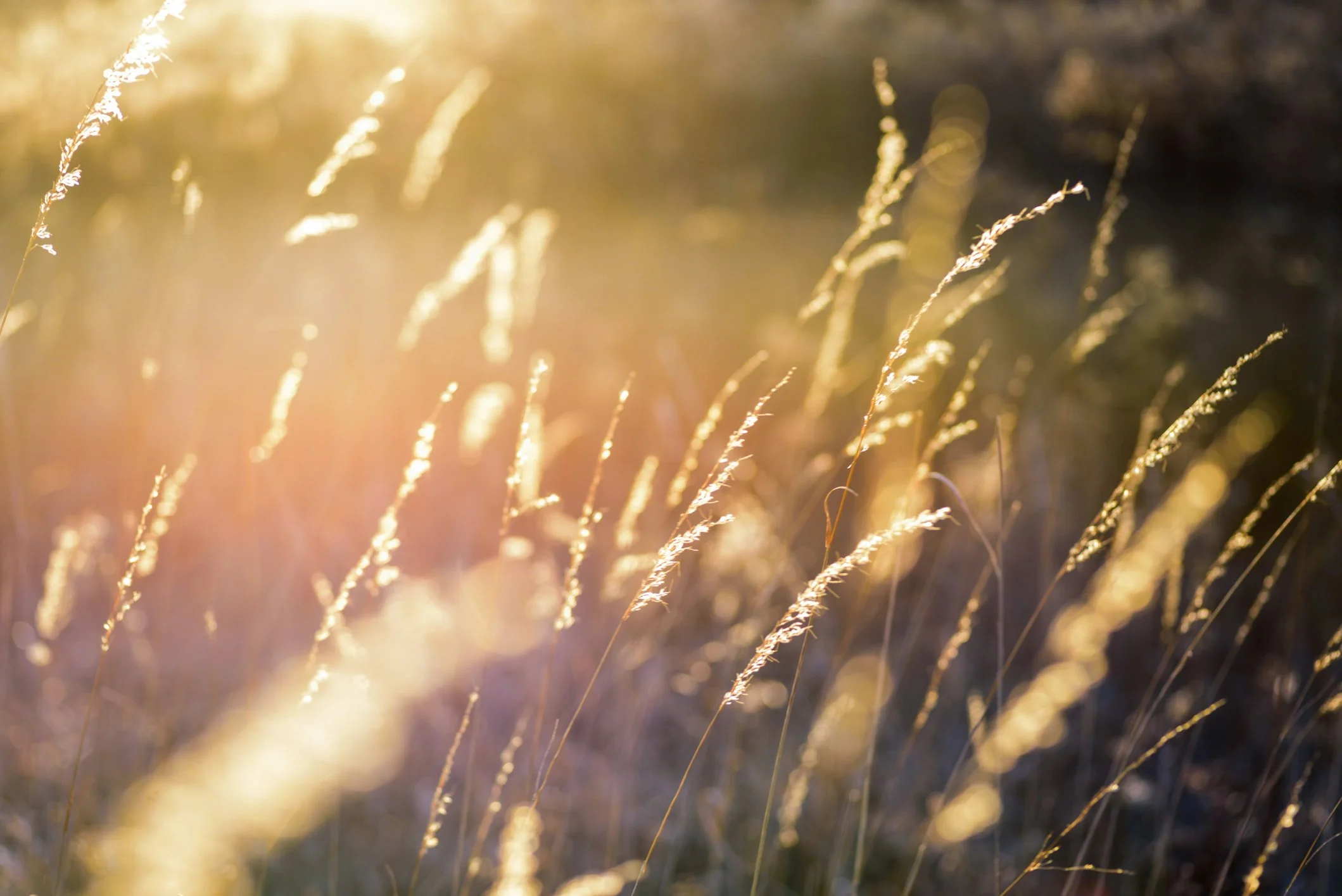 Prosperity Planning | Financial Advisor Kansas City