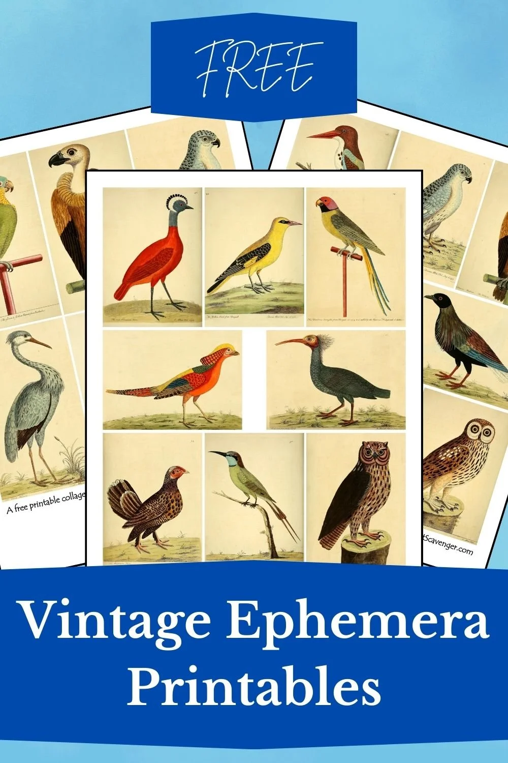 Free Bird Ephemera Printables — The Art Scavenger