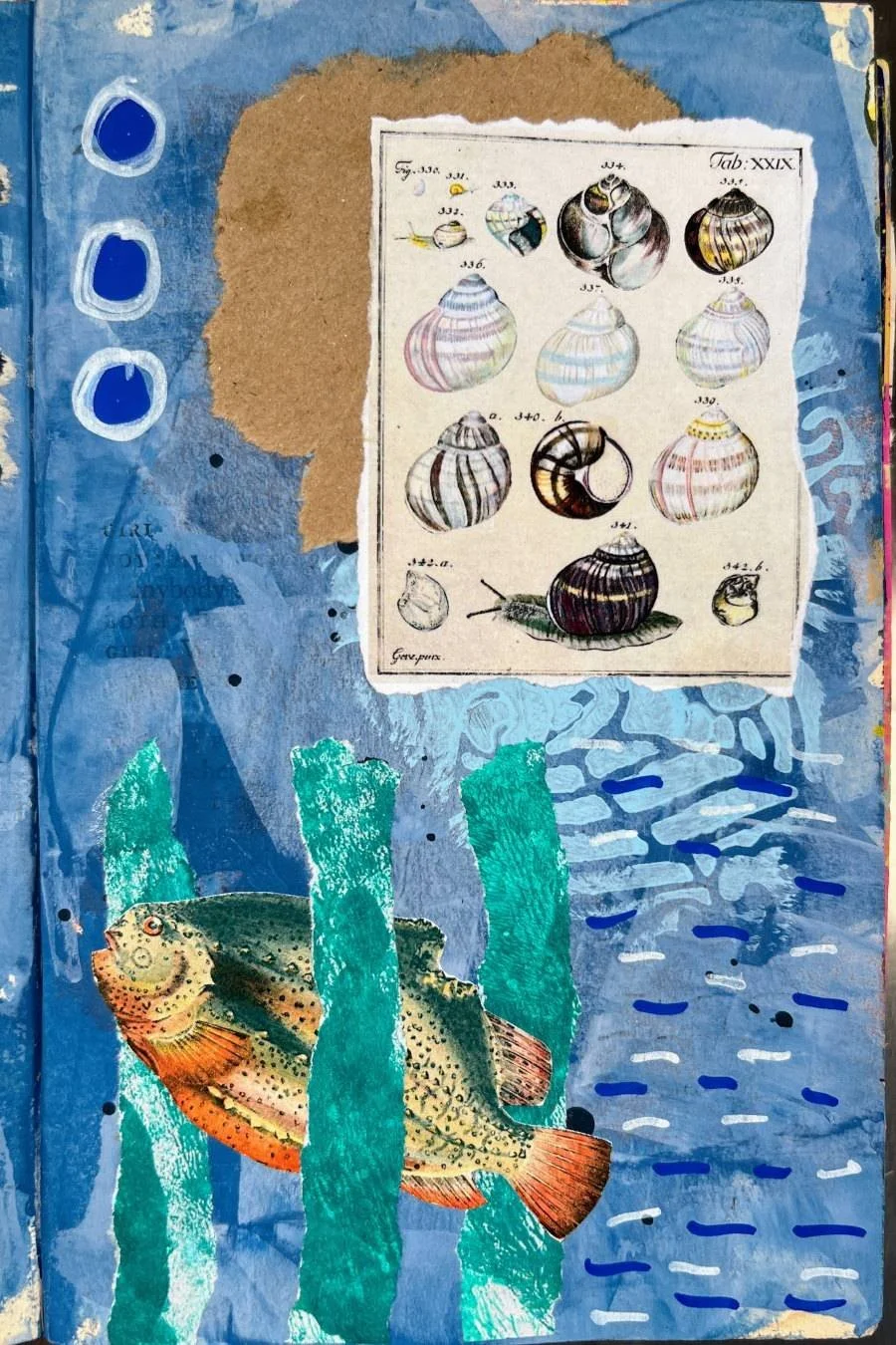 Free Seashell Ephemera Printables — The Art Scavenger