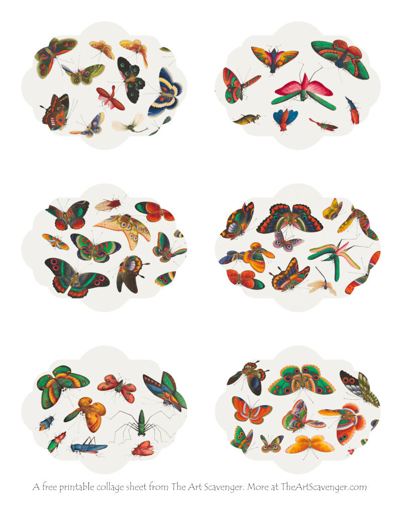 Free Printable Butterfly Collage Sheets — The Art Scavenger