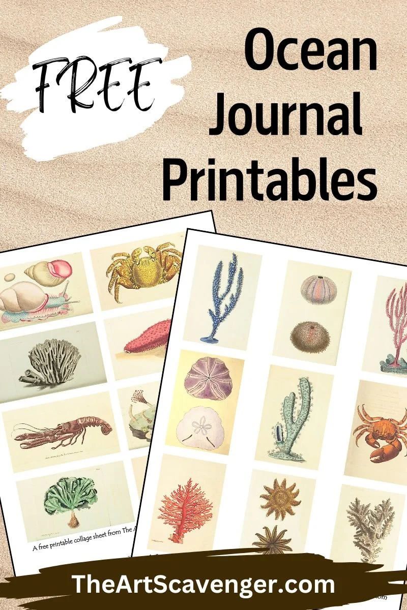 Free Ocean Collage Sheets + Why You Shouldn’t Feel Guilty About Using ...