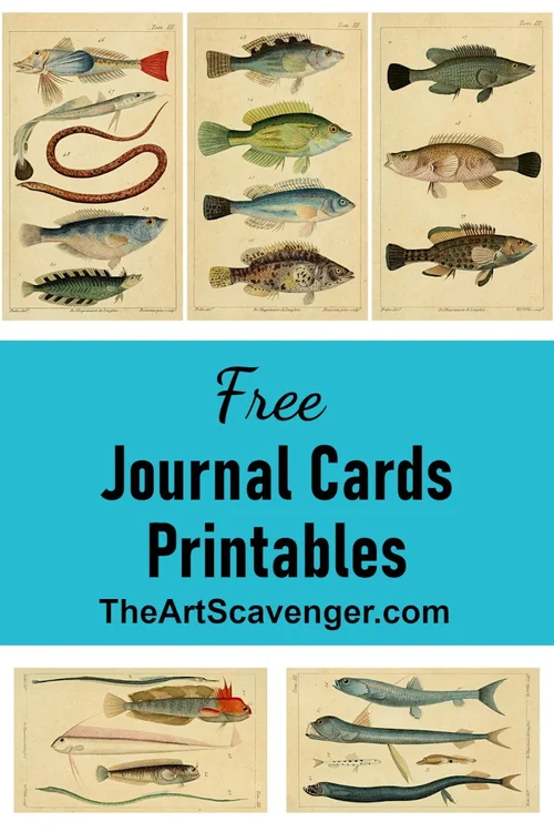 Free Vintage Fish Illustration Journal Cards — The Art Scavenger