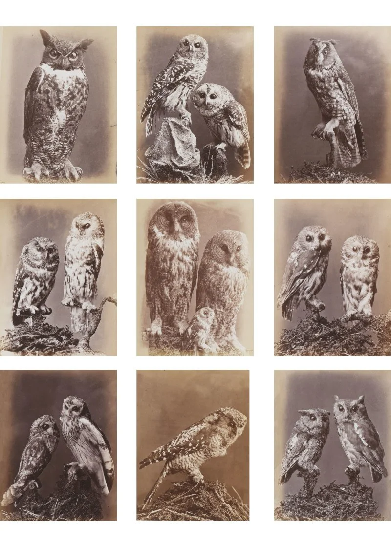 Free Printable Collage & Ephemera Sheets — The Art Scavenger