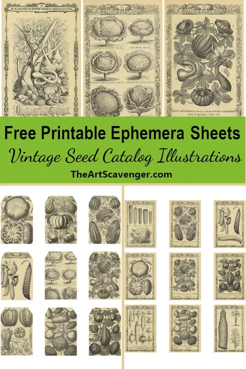 Free Printable Vegetable Seed Catalog Ephemera Sheets — The Art Scavenger