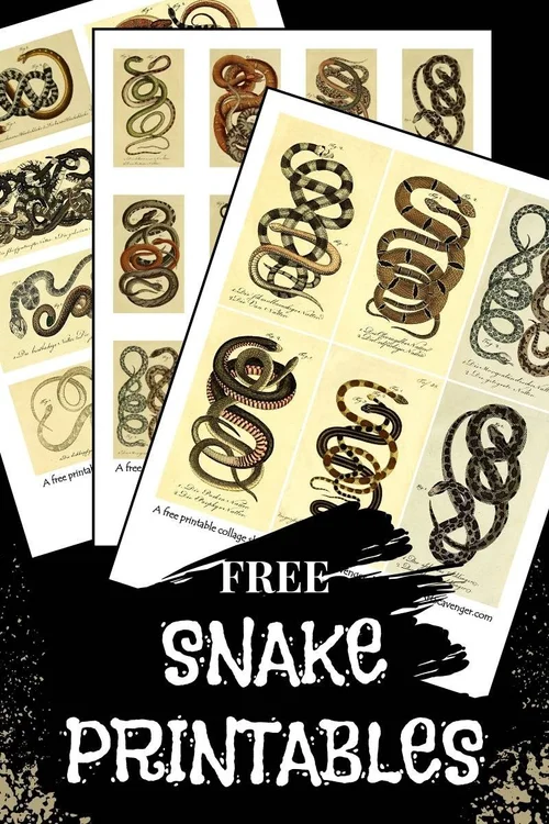 Free Vintage Snake Ephemera: Printable Illustrations for Gothic and ...