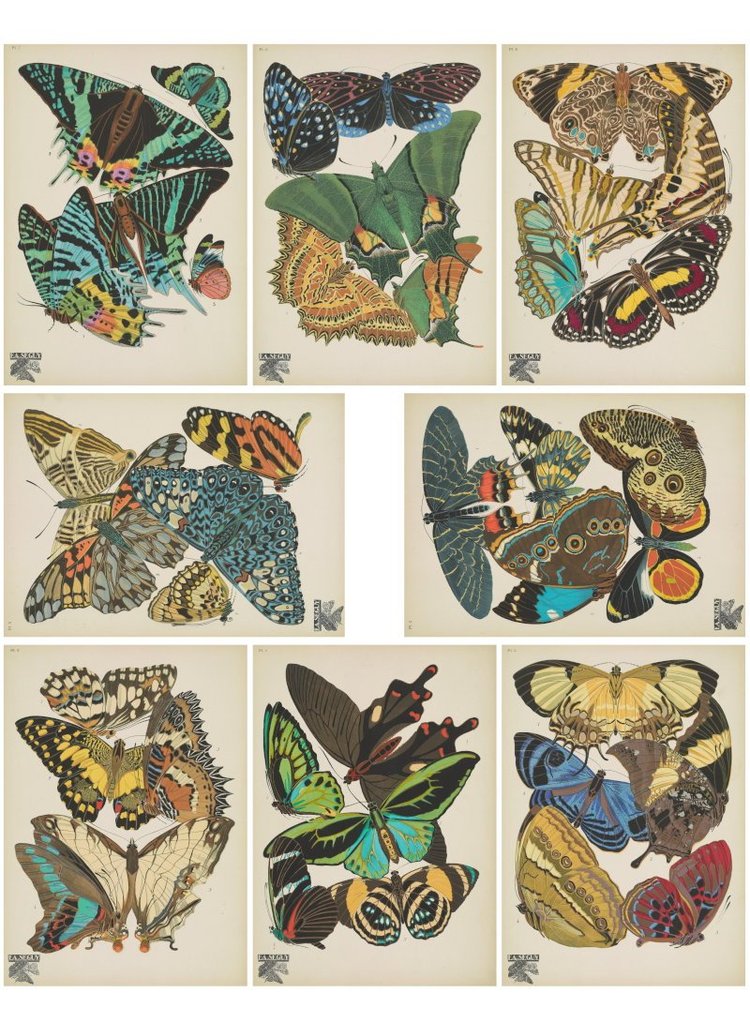 Free Butterfly Ephemera Printables — The Art Scavenger