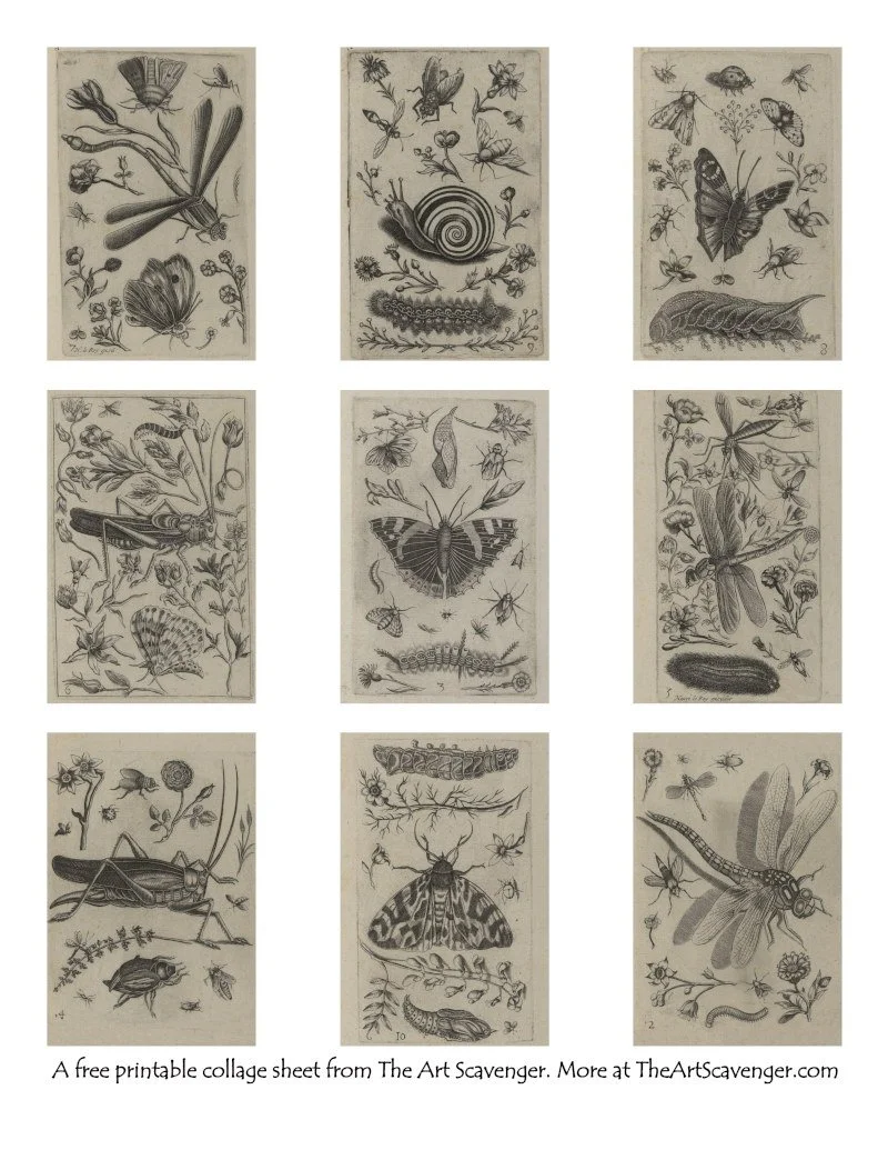 Animals — Free Printable Collage & Ephemera Sheets — The Art Scavenger