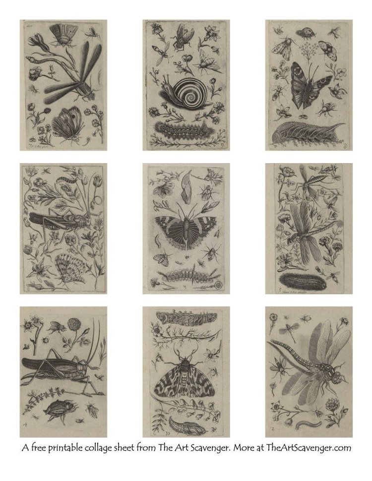 Free Insect Journal Printables — The Art Scavenger