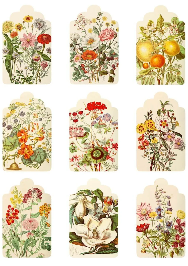 Printable Floral Gift Tags and Cards for Creative Gift Packaging and ...