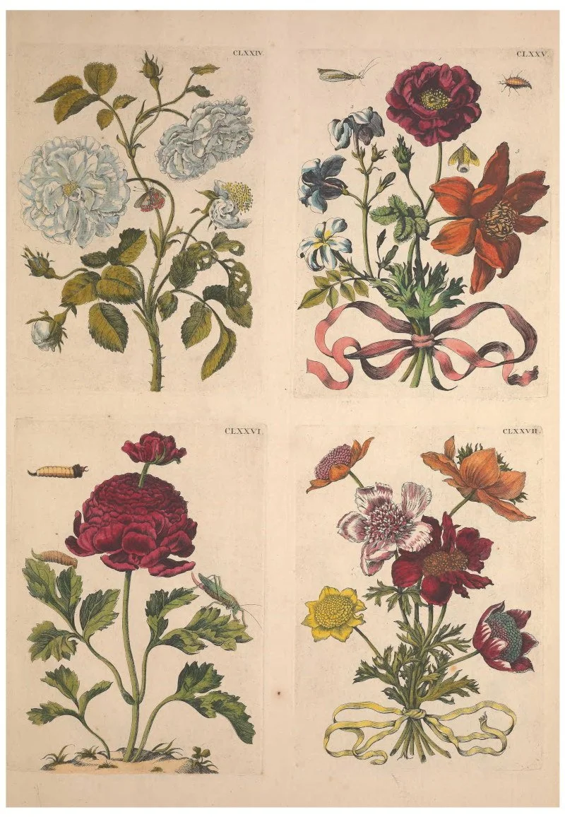 Free Floral Vintage Printables — The Art Scavenger