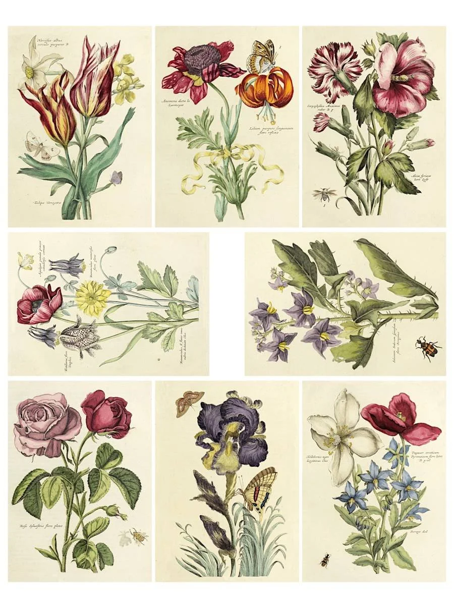 Free Flower Collage Printables + How to Art Journal Without Drawing ...