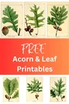 Acorn and Oak Leaf Printables — The Art Scavenger