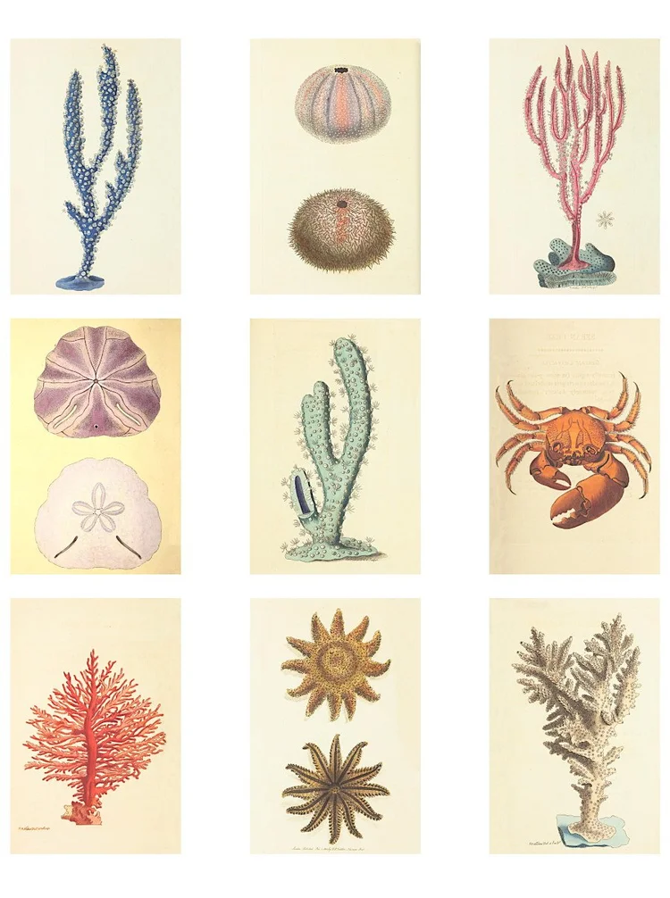 Free Printable Collage & Ephemera Sheets — The Art Scavenger