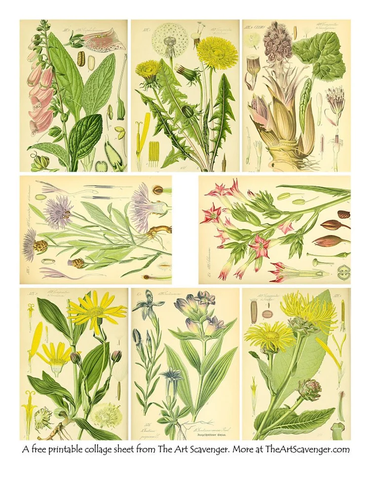 Free Vintage Floral Collage Sheet Printables — The Art Scavenger