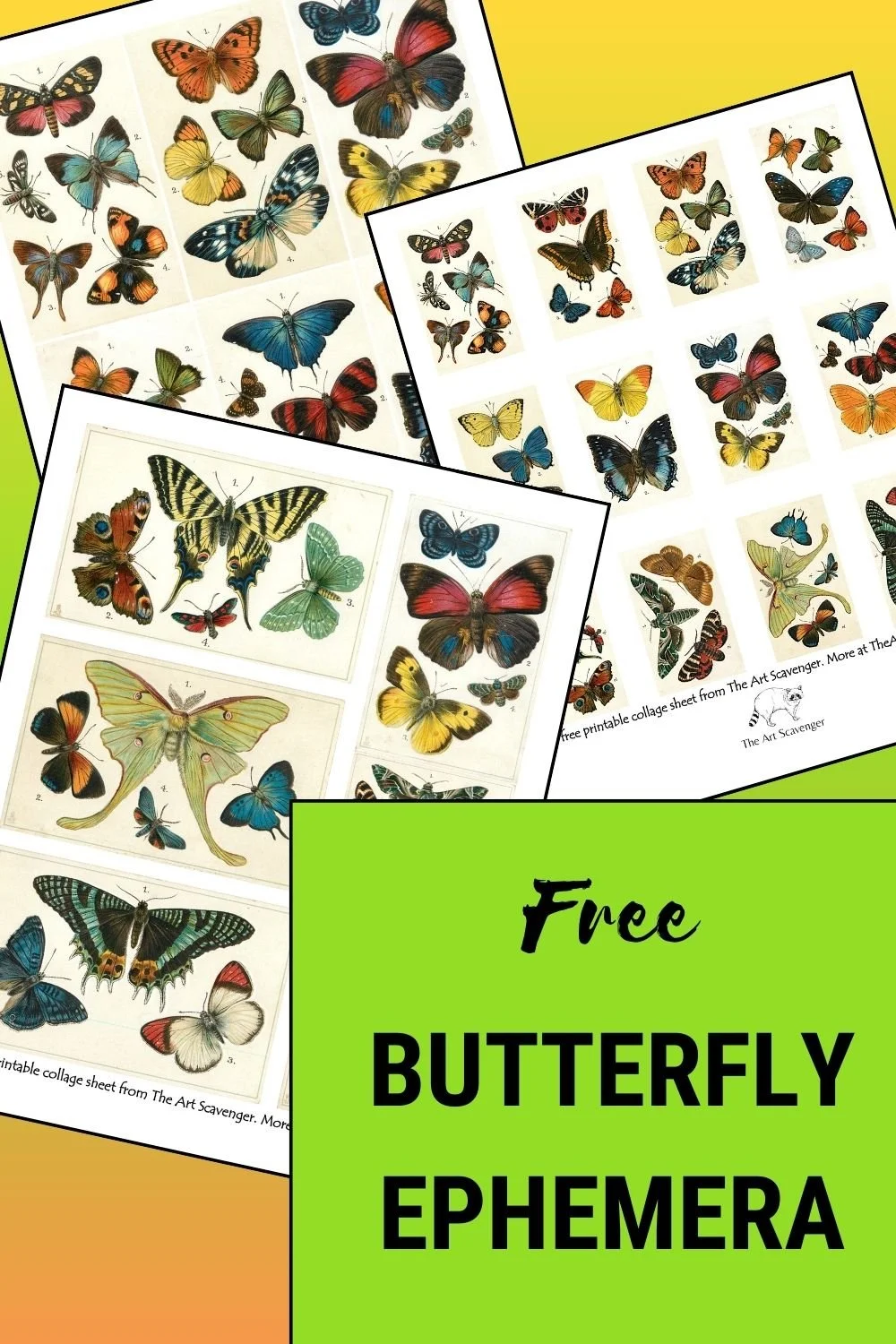 Free Butterfly Collage Ephemera — The Art Scavenger