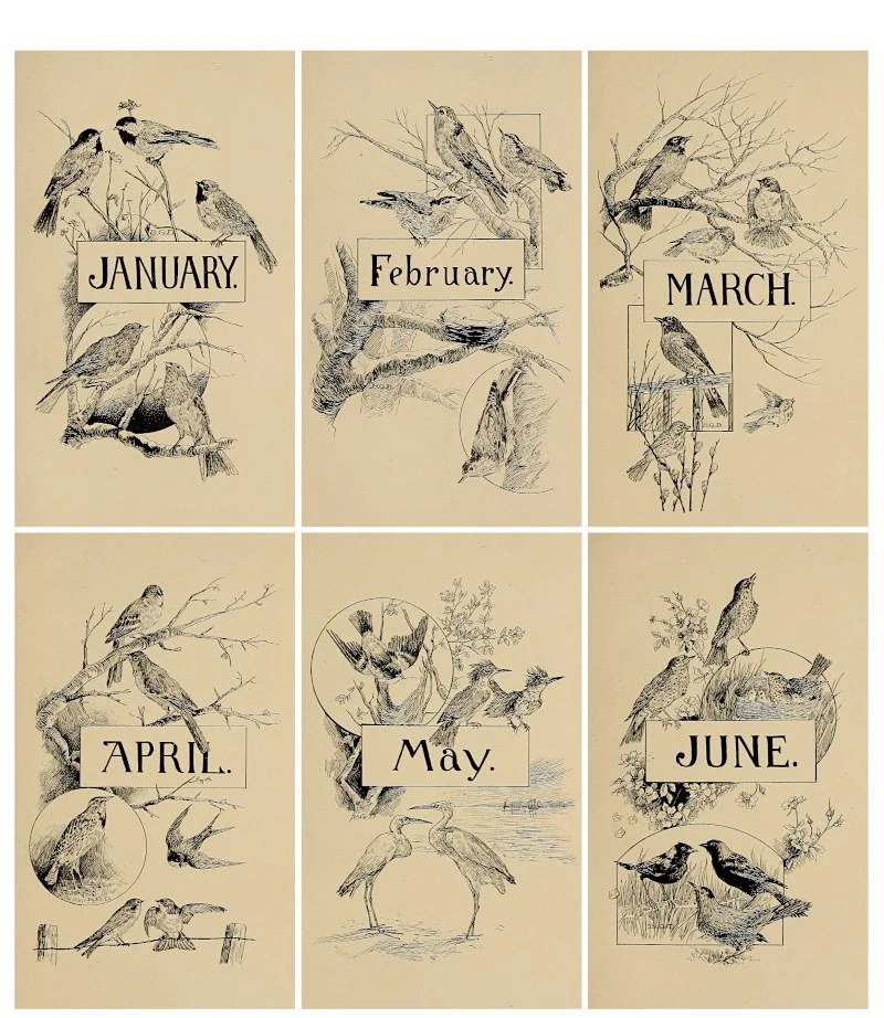 Ephemera — Free Printable Collage & Ephemera Sheets — The Art Scavenger