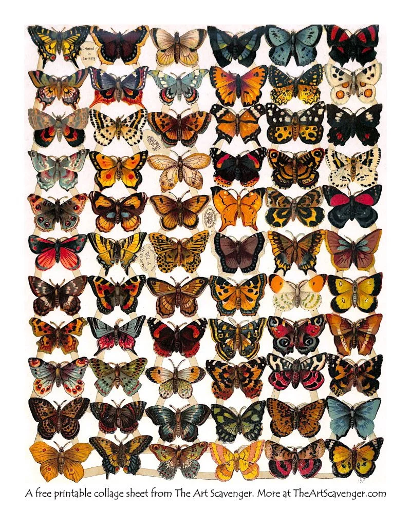 Free Colorful Butterfly Ephemera Plus What Is Art Journaling? A ...