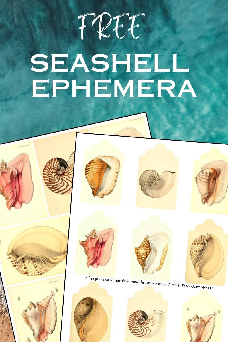 Free Seashell Junk Journal Printables – Keep It Simple with Easy ...