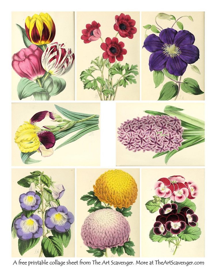 Free Printable Collage & Ephemera Sheets — The Art Scavenger