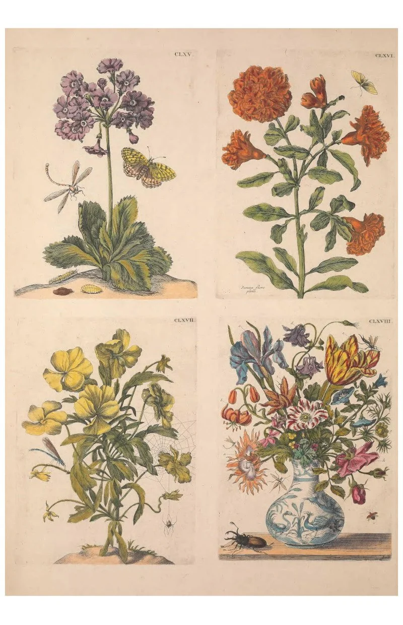 Free Floral Vintage Printables — The Art Scavenger