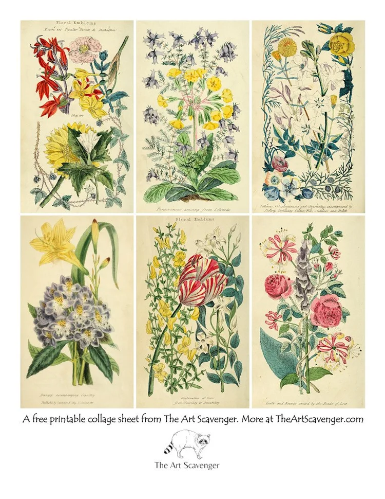 Free Floral Vintage Ephemera — The Art Scavenger
