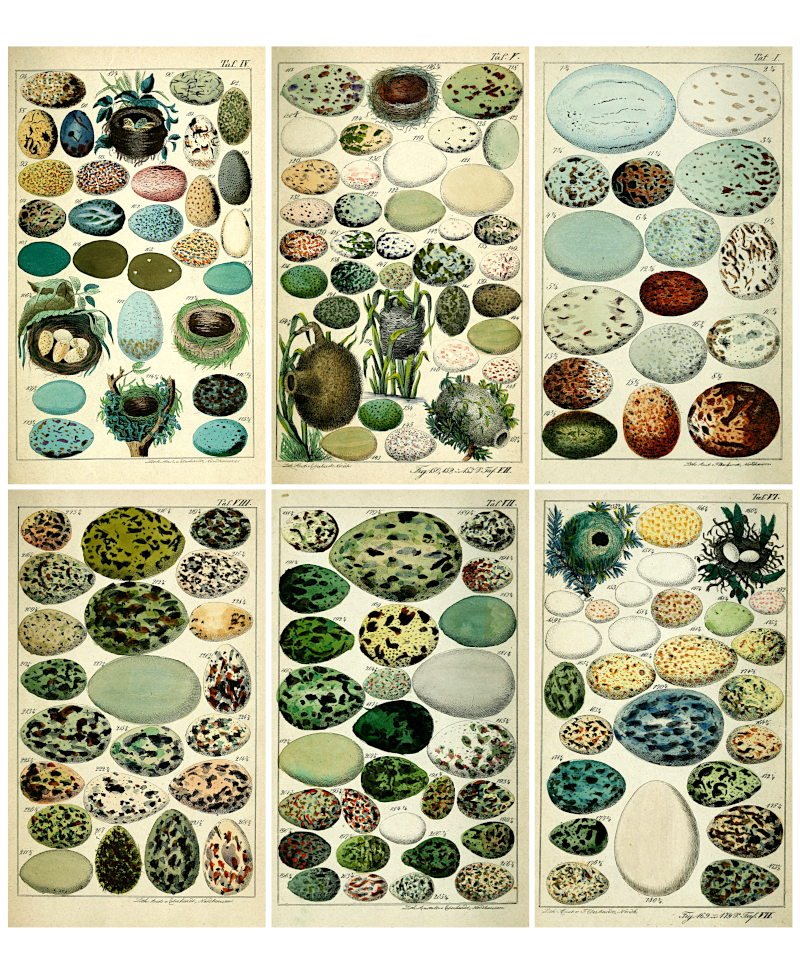 Free Printable Collage & Ephemera Sheets — The Art Scavenger