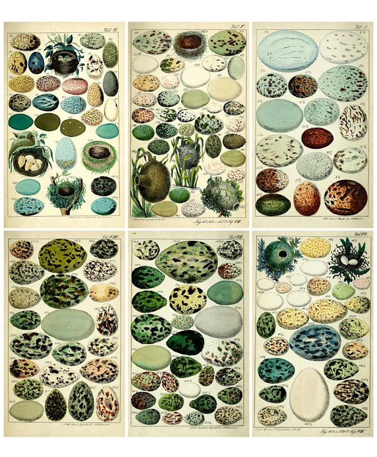 Free Printable Collage & Ephemera Sheets — The Art Scavenger