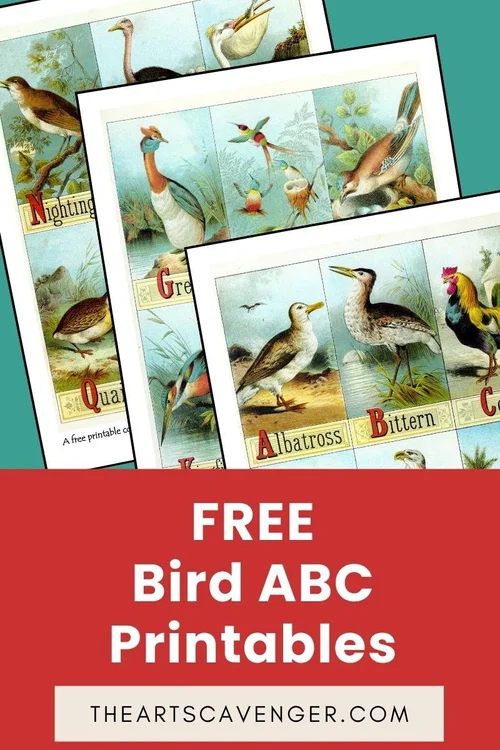 Free Bird Alphabet Ephemera + How to Use It in Mixed Media — The Art ...