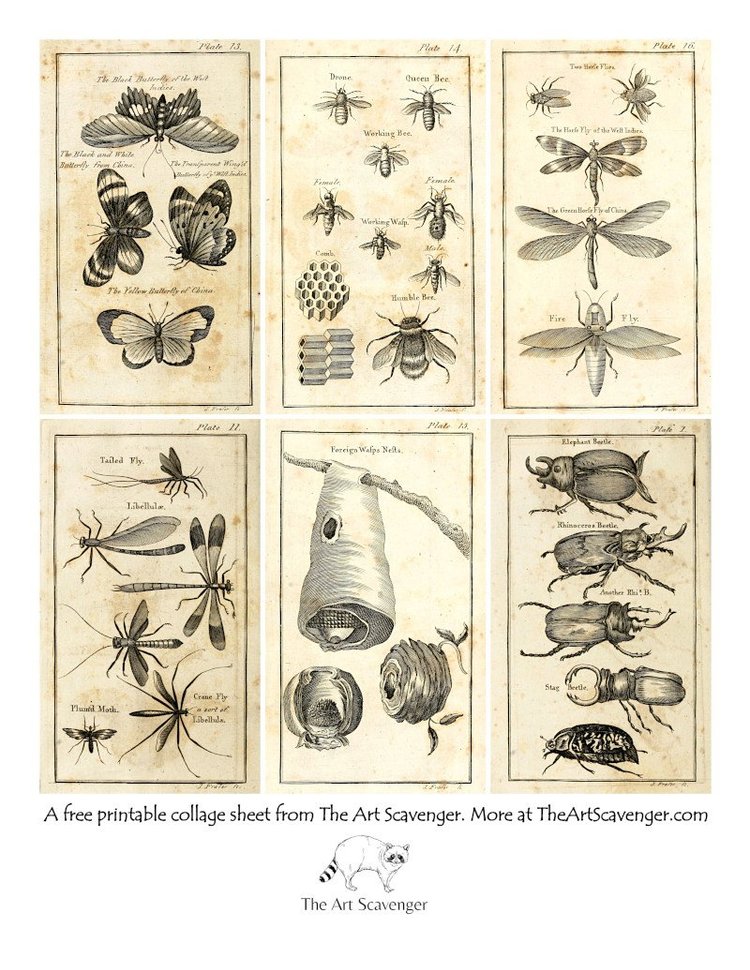 Animals — Free Printable Collage & Ephemera Sheets — The Art Scavenger