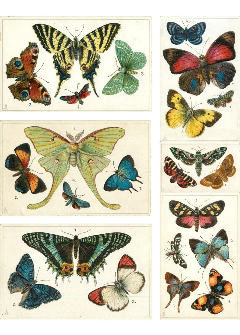 Ephemera — Free Printable Collage & Ephemera Sheets — The Art Scavenger