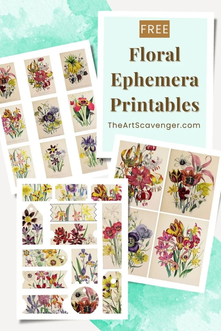 Free Floral Ephemera Printables — The Art Scavenger