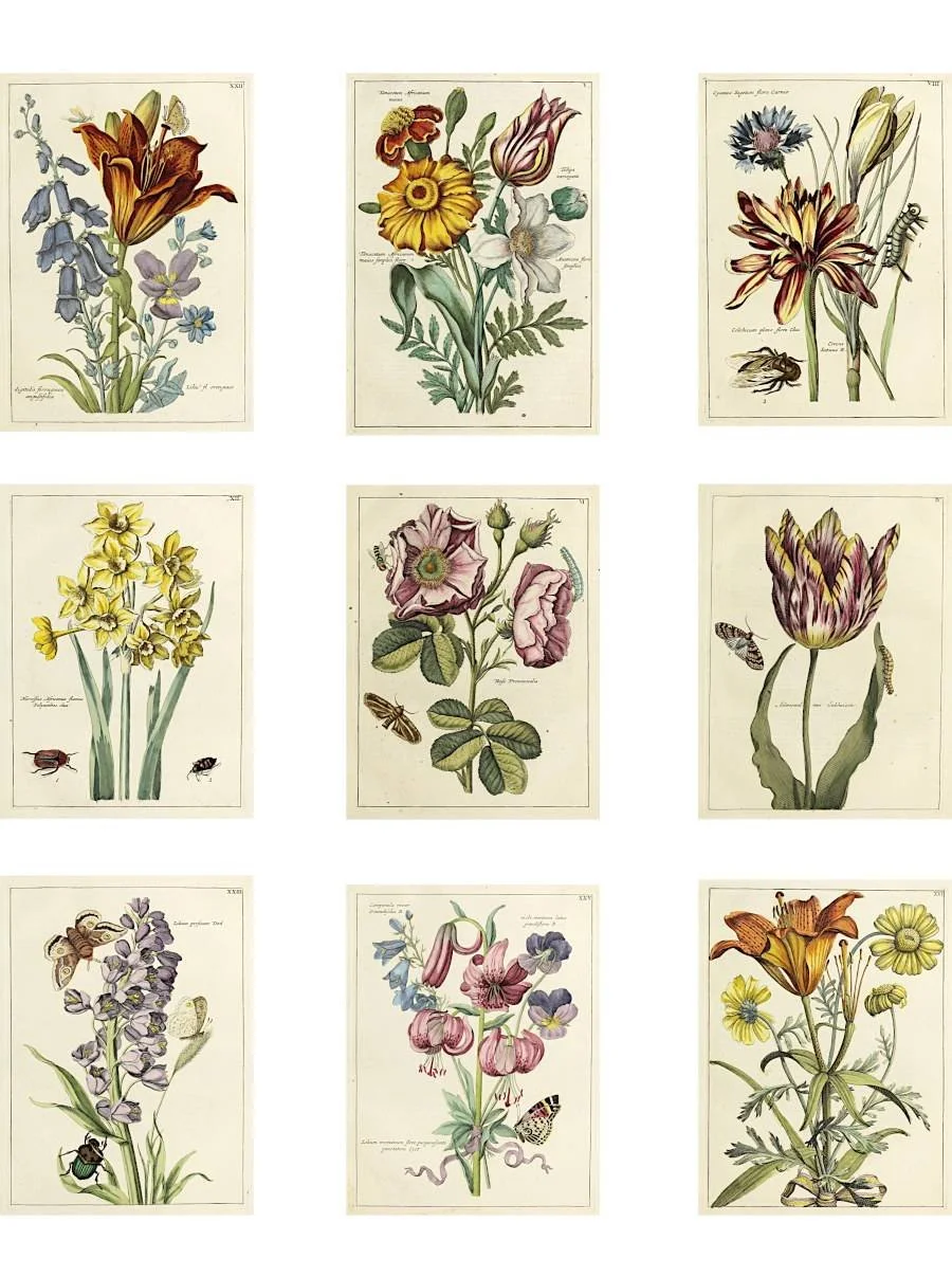 Free Flower Collage Printables + How to Art Journal Without Drawing ...