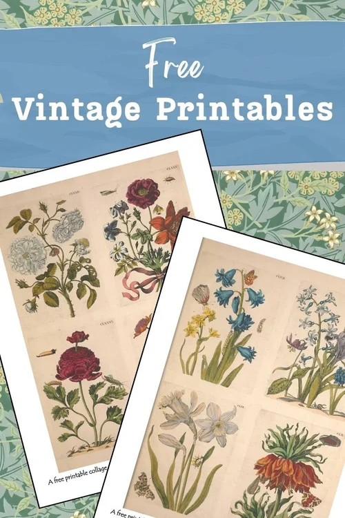 Free Floral Vintage Printables — The Art Scavenger