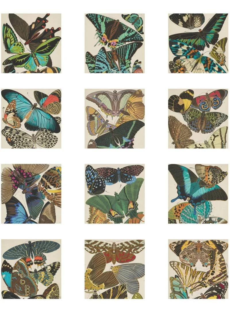 Free Butterfly Ephemera Printables — The Art Scavenger